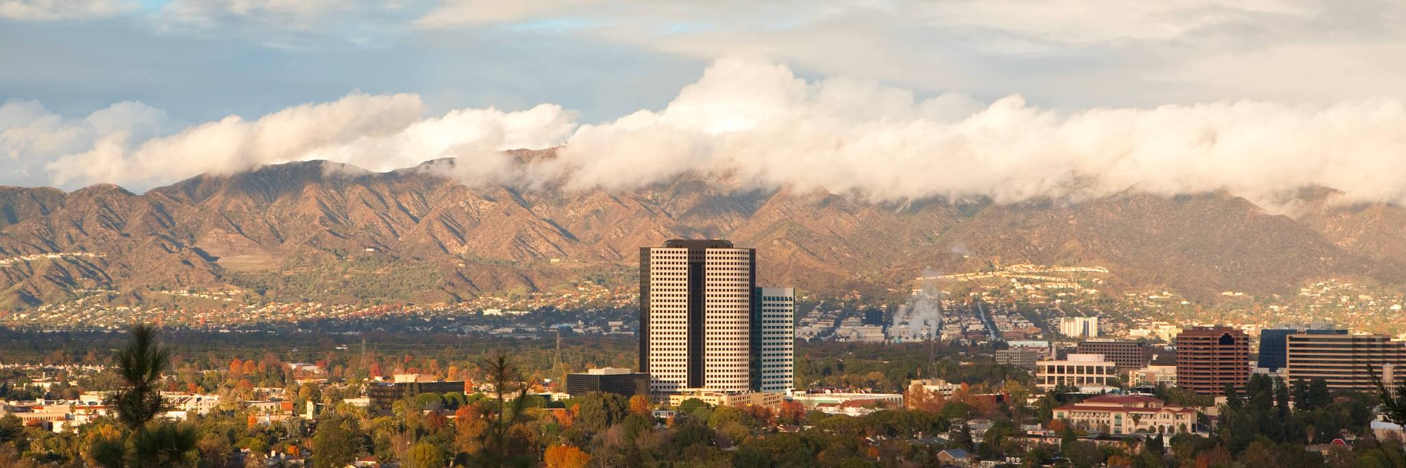 Nick Schultz - Digital Democracy | CalMatters