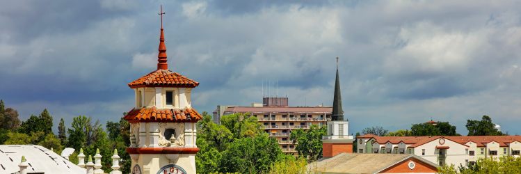 Alexandra Macedo - Digital Democracy | CalMatters